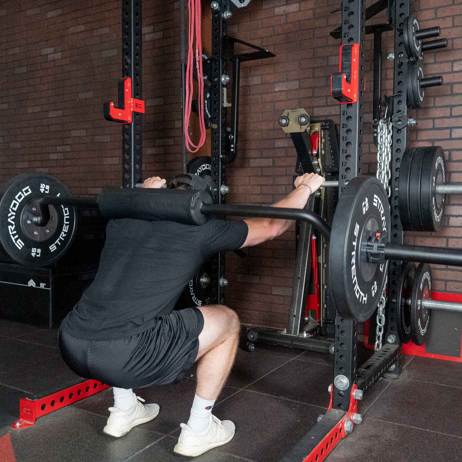 Top 5 Safety Squat Bar Exercises – Stray Dog Strength