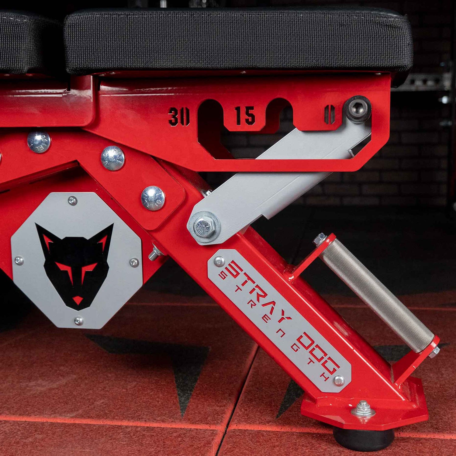 Top 5 Alpha Bench Exercises – Stray Dog Strength