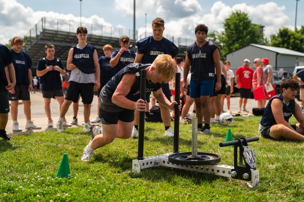 Residual Training Effects (RTE) – Stray Dog Strength
