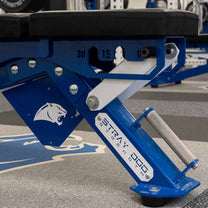 Alpha Bench – Stray Dog Strength